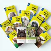 Abzilly: UFLI aligned decodable books